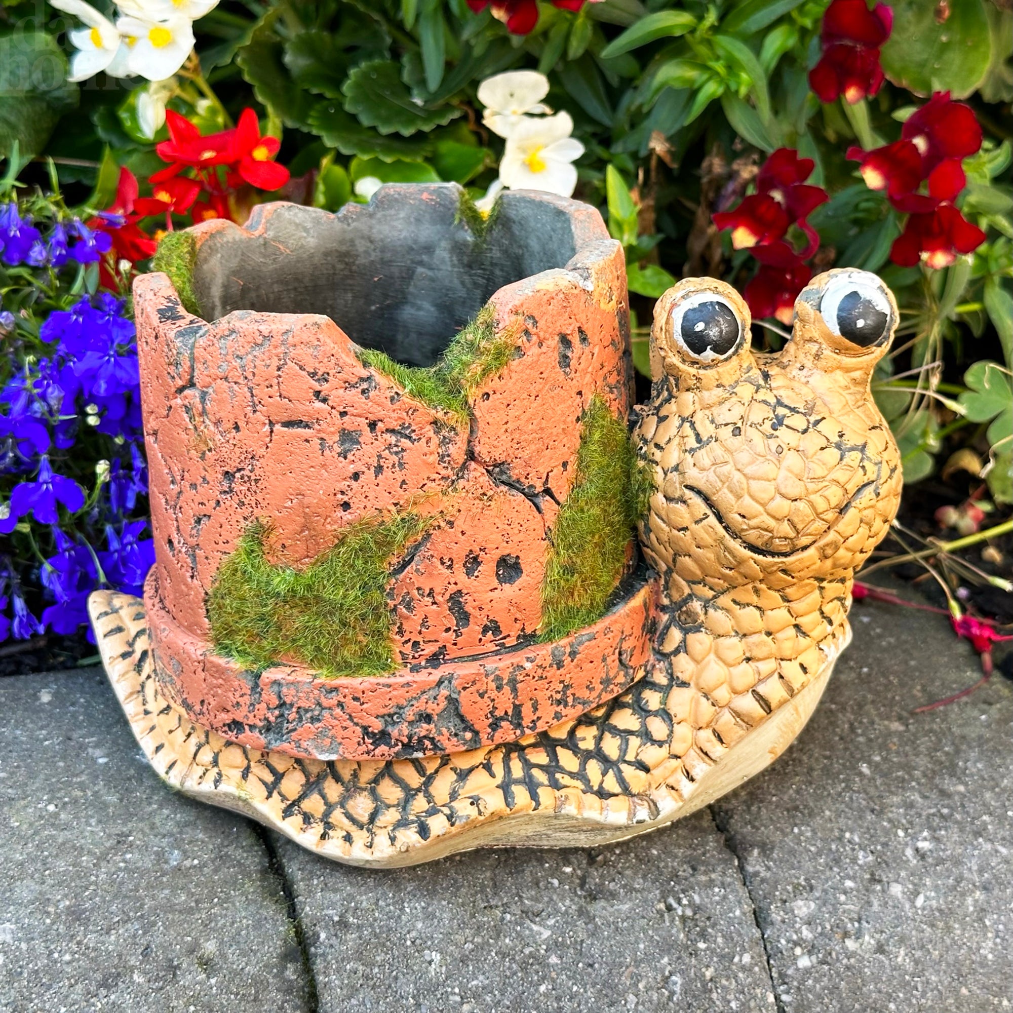 Darthome Cement Snail Planter With Clay Pipe Shell – Darthome Limited