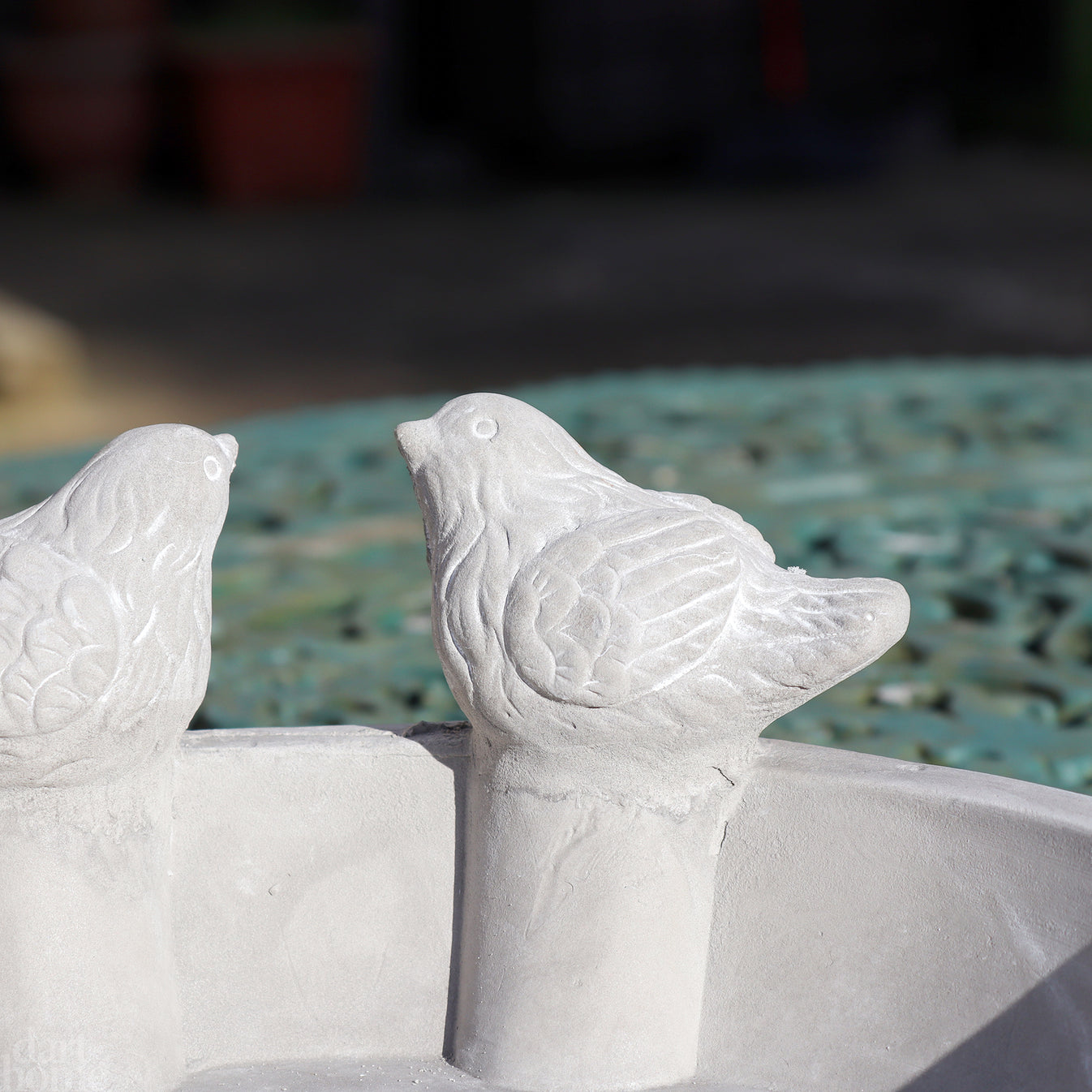 Darthome Cement Swimming Pool Bird Bath 23.5x6.5cm – Darthome Limited