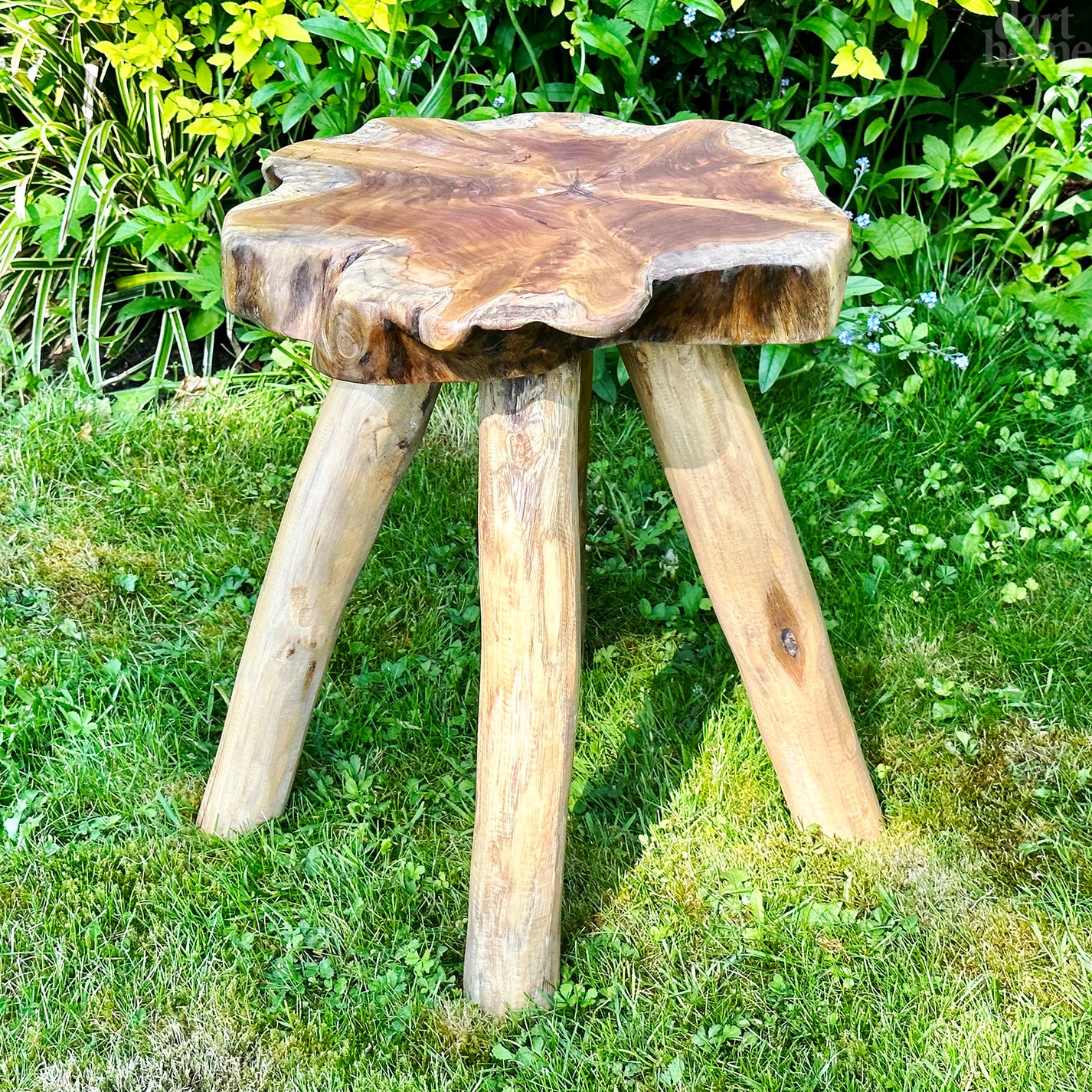 Darthome Teak Root Mushroom Stool With 4 Legs – Darthome Limited