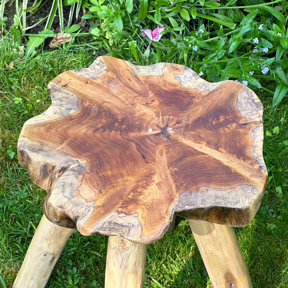 Darthome Teak Root Mushroom Stool With 4 Legs – Darthome Limited